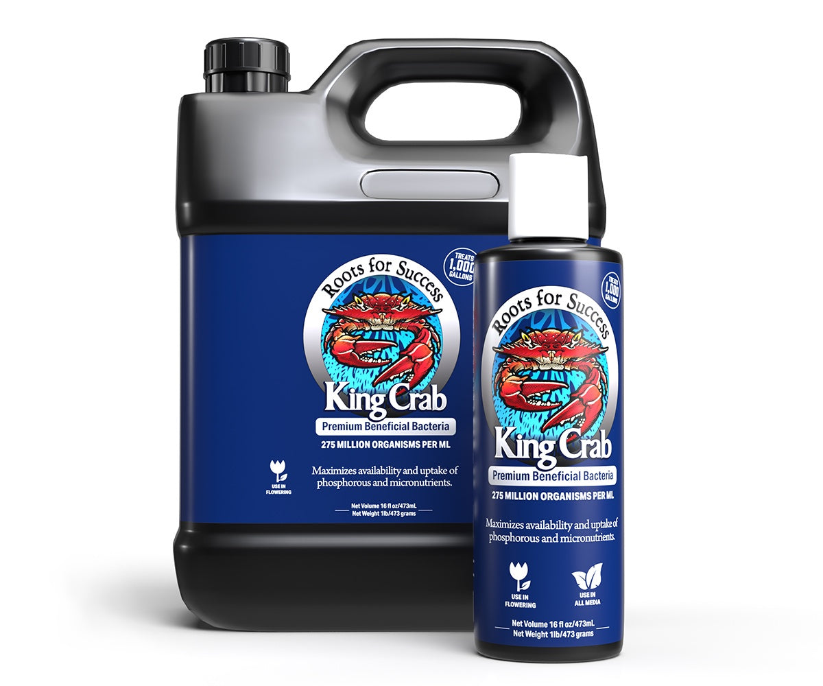 PS KING CRAB 1GAL – Hefty Harvest